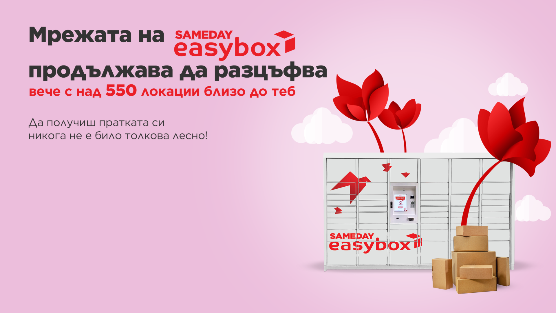 Sameday Courier - Homepage
